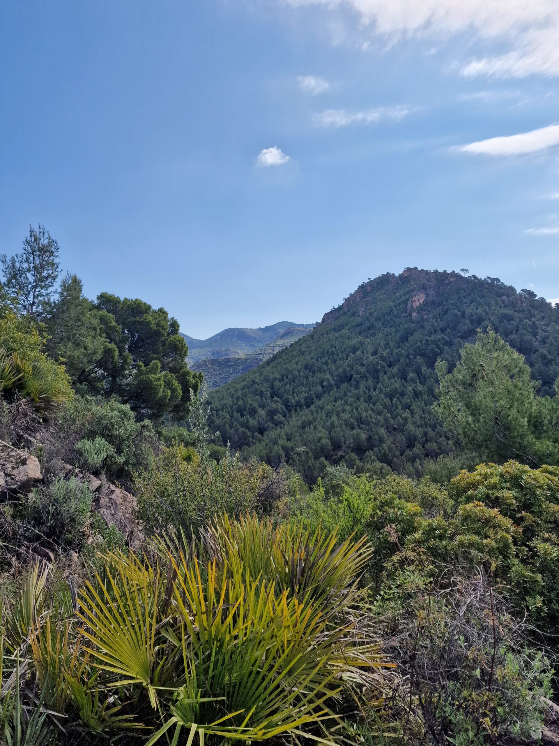 Sierra Calderona Natural Park - Turismo Olocau